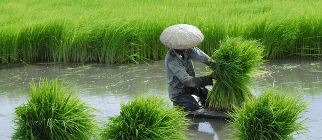China’s Natural Resources: Bottleneck Despite Sheer Volume? – Welcome ...